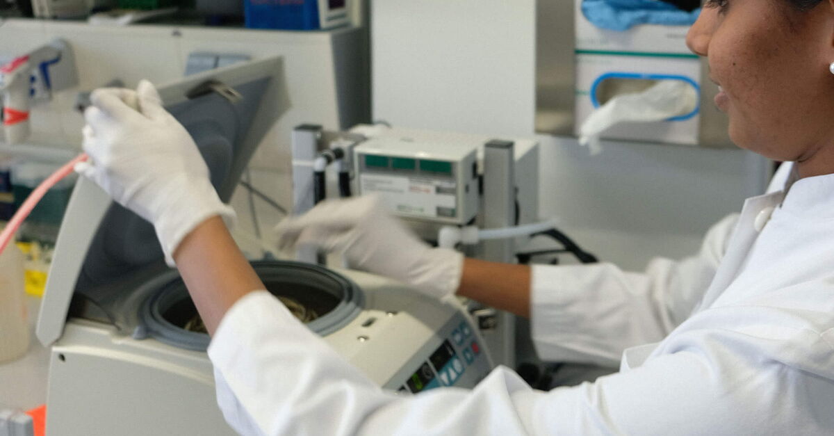 EURIdoc – Eucor Upper Rhine Immunology doctoral programme | Eucor EN